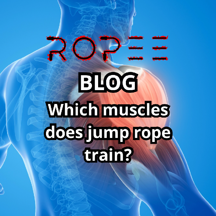 What Muscles Does Jump Rope Train? – A Full-Body Workout Guide