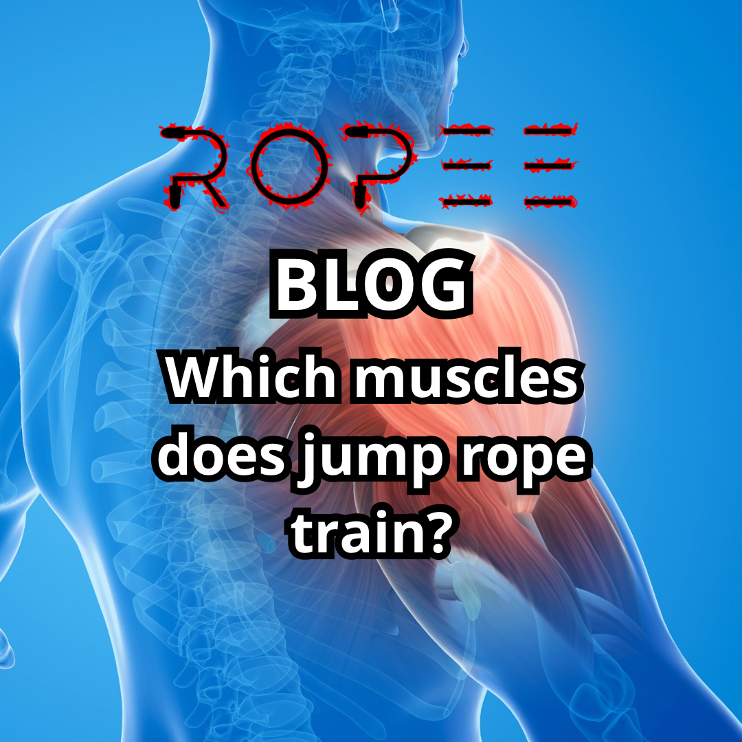 What Muscles Does Jump Rope Train? – A Full-Body Workout Guide