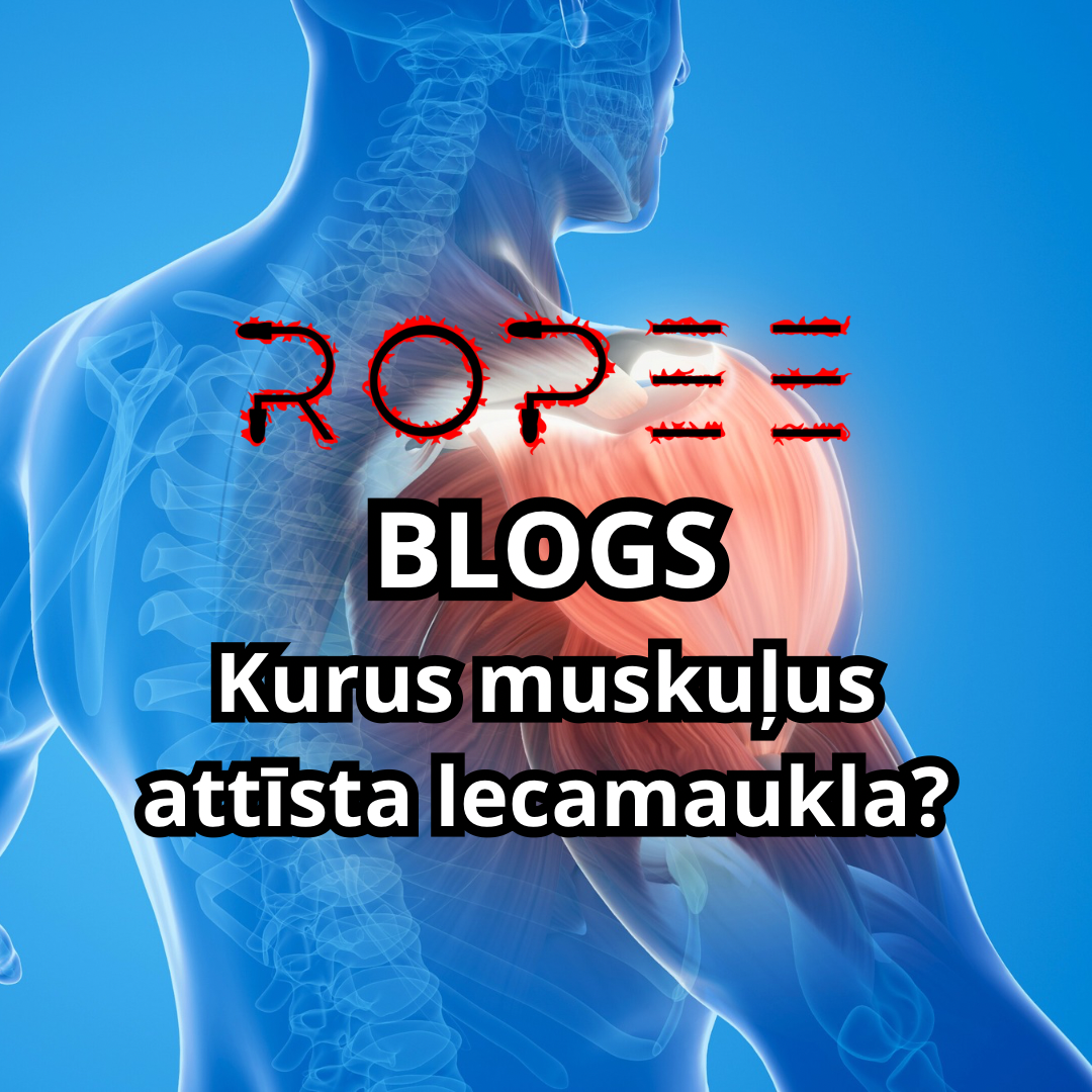 Kurus muskuļus attīsta lecamaukla? – Efektīvs visa ķermeņa treniņš